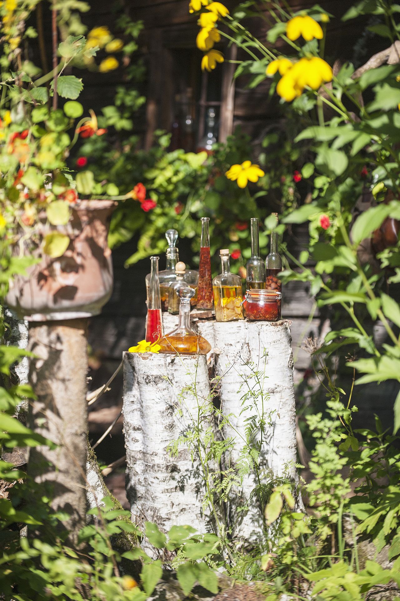 Tree stump ideas: 10 creative designs for your yard | Homes and Gardens