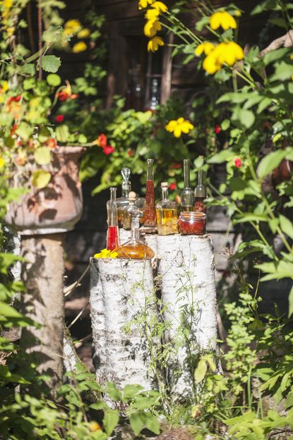 Tree stump ideas: 10 creative designs for your yard | Homes and Gardens