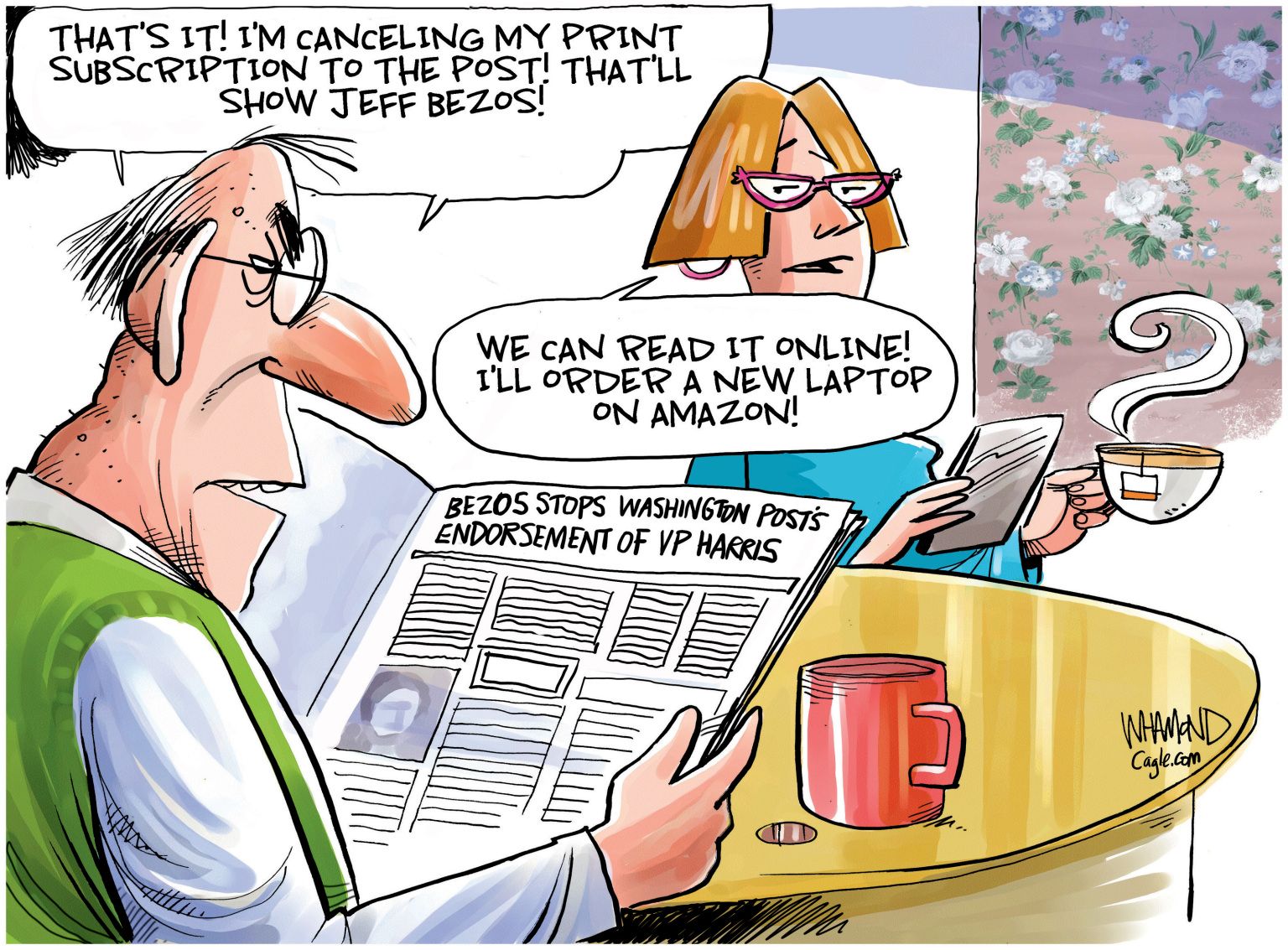 5 Unendorsed Cartoons About The Washington Post The Week