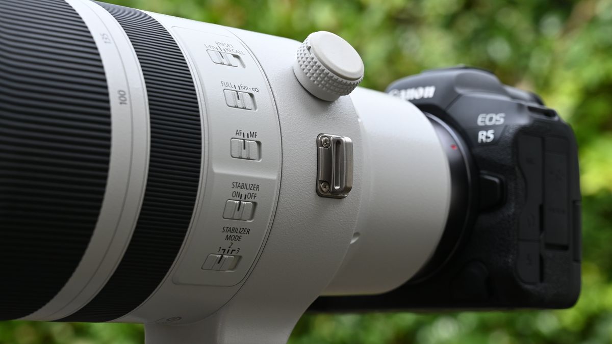 Canon RF 100-300mm F2.8L IS USM review | Digital Camera World