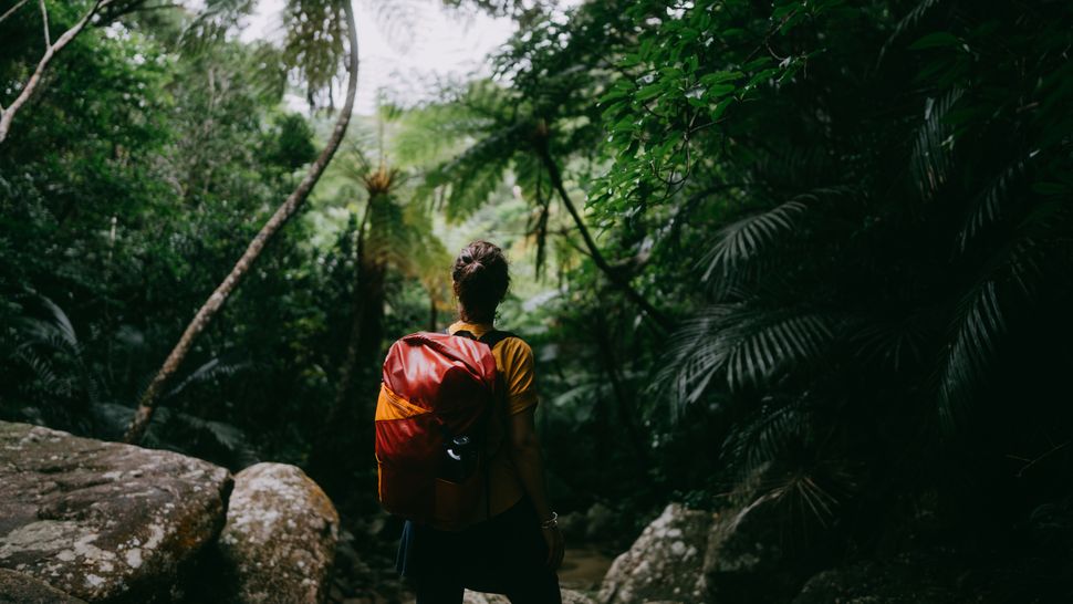 Hiking in the jungle: prepare for the adventure of a lifetime | Advnture