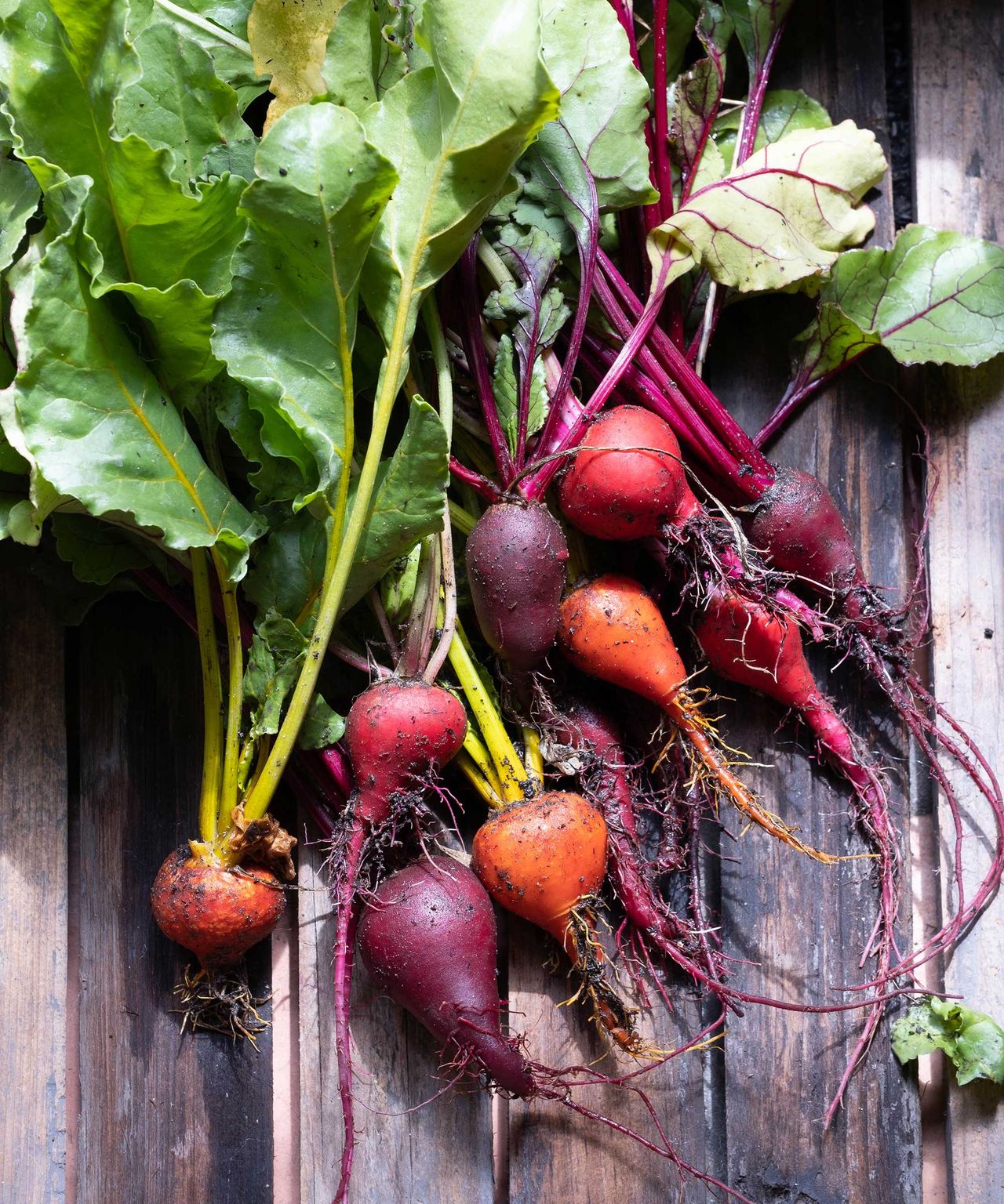 How to grow beetroot: practical tips for growing this tasty root ...