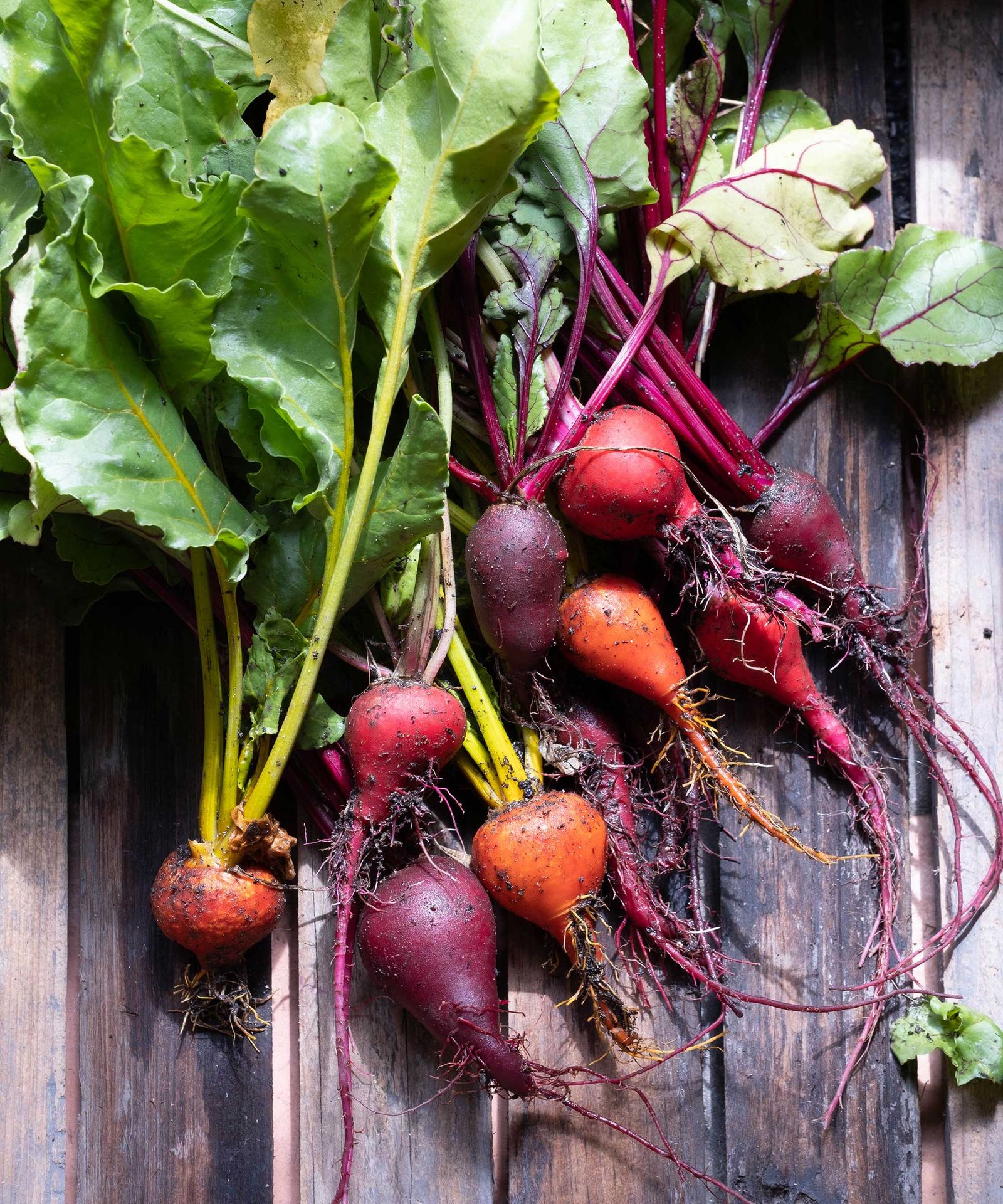 How to grow beetroot: practical tips for growing this tasty root ...