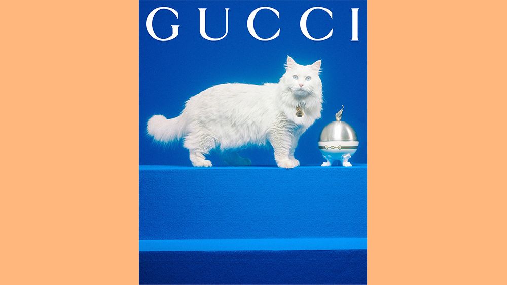 The Gucci Pet Collection is ridiculous... | Creative Bloq