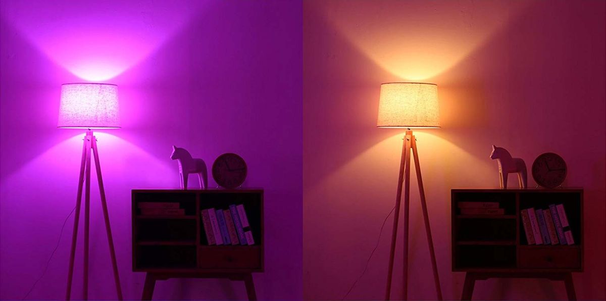 Sengled Element Color Plus Starter Kit: Best budget color smart lights ...