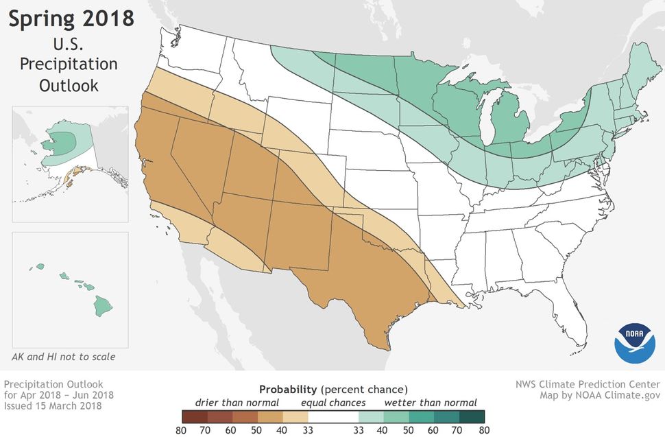 Expect a Warm, Wet Spring Across the US | Live Science
