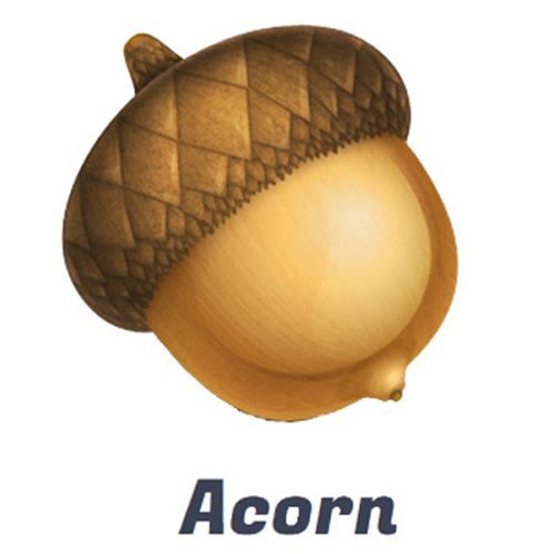 Acorn 4.5.5 Review - Pros, Cons and Verdict | Top Ten Reviews