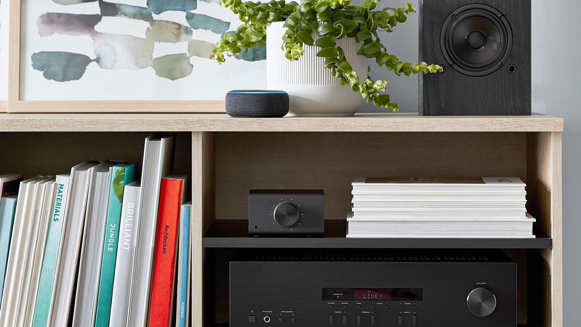 First Look: Amazon Echo Link and Amp are aiming for the audiophile ...