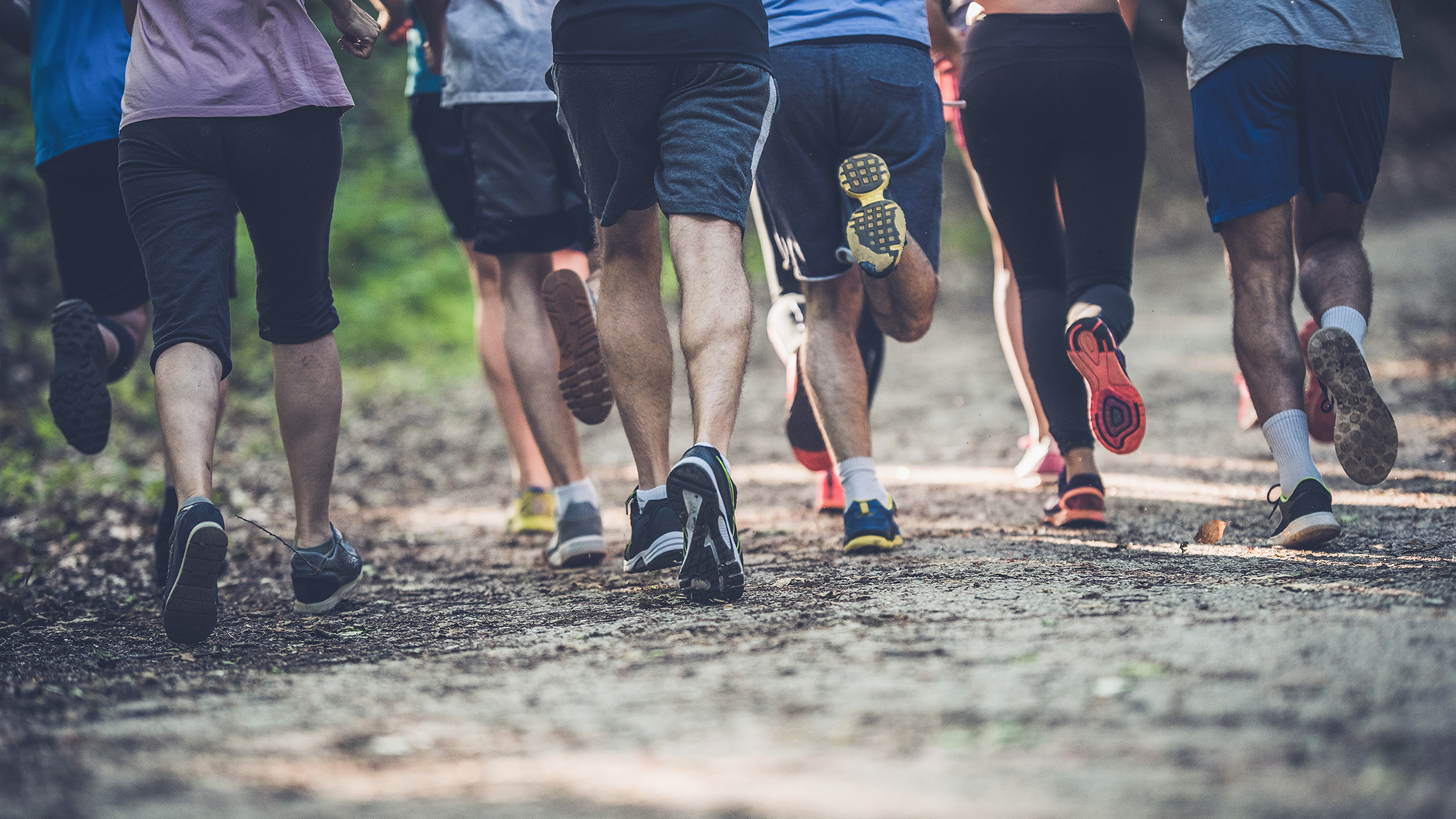 Trail runners and hikers come together to restore wildfire-damaged ...