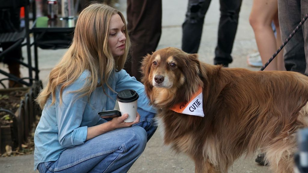 32 adorable pics of celebrities and their pets | PetsRadar