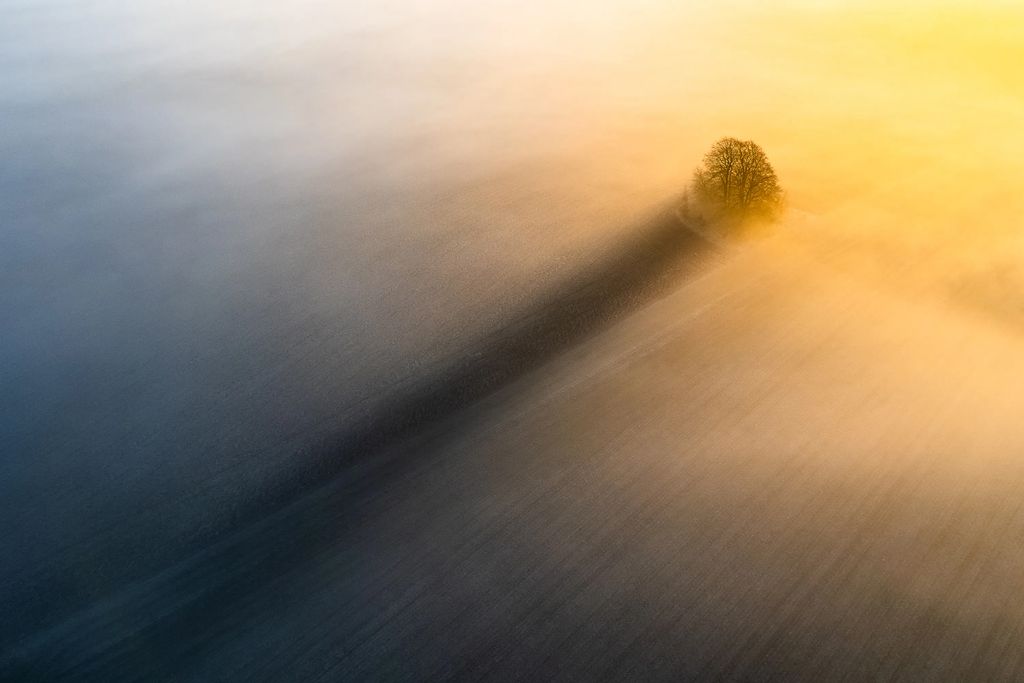 10 extraordinary award-winning photos of 2025 you need to see | Digital ...