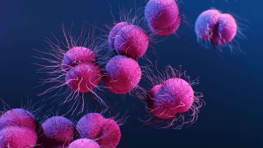 10 of the deadliest superbugs that scientists are worried about | Live ...