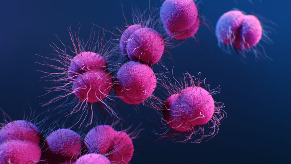 10 of the deadliest superbugs that scientists are worried about | Live ...