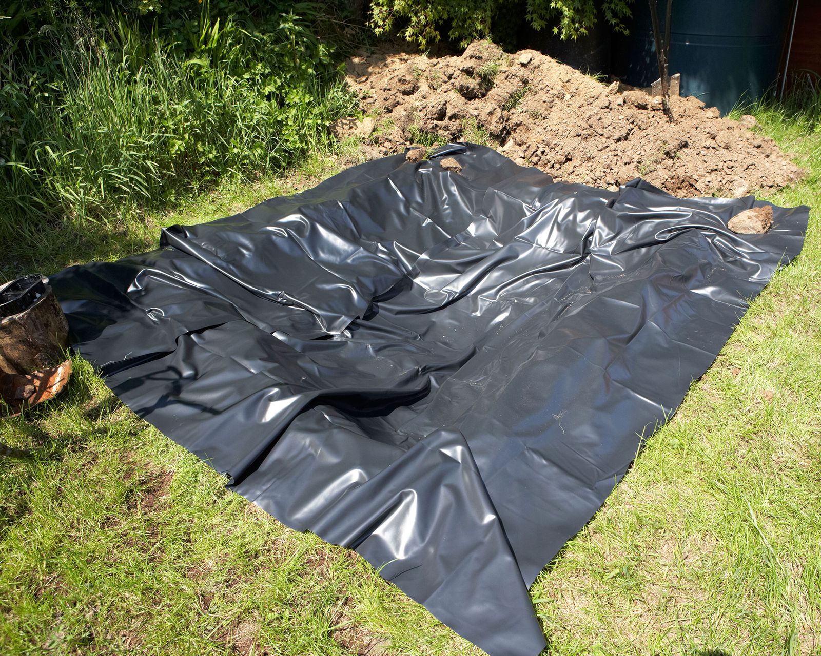 Bog gardens: expert advice on how and where to create one | Gardeningetc