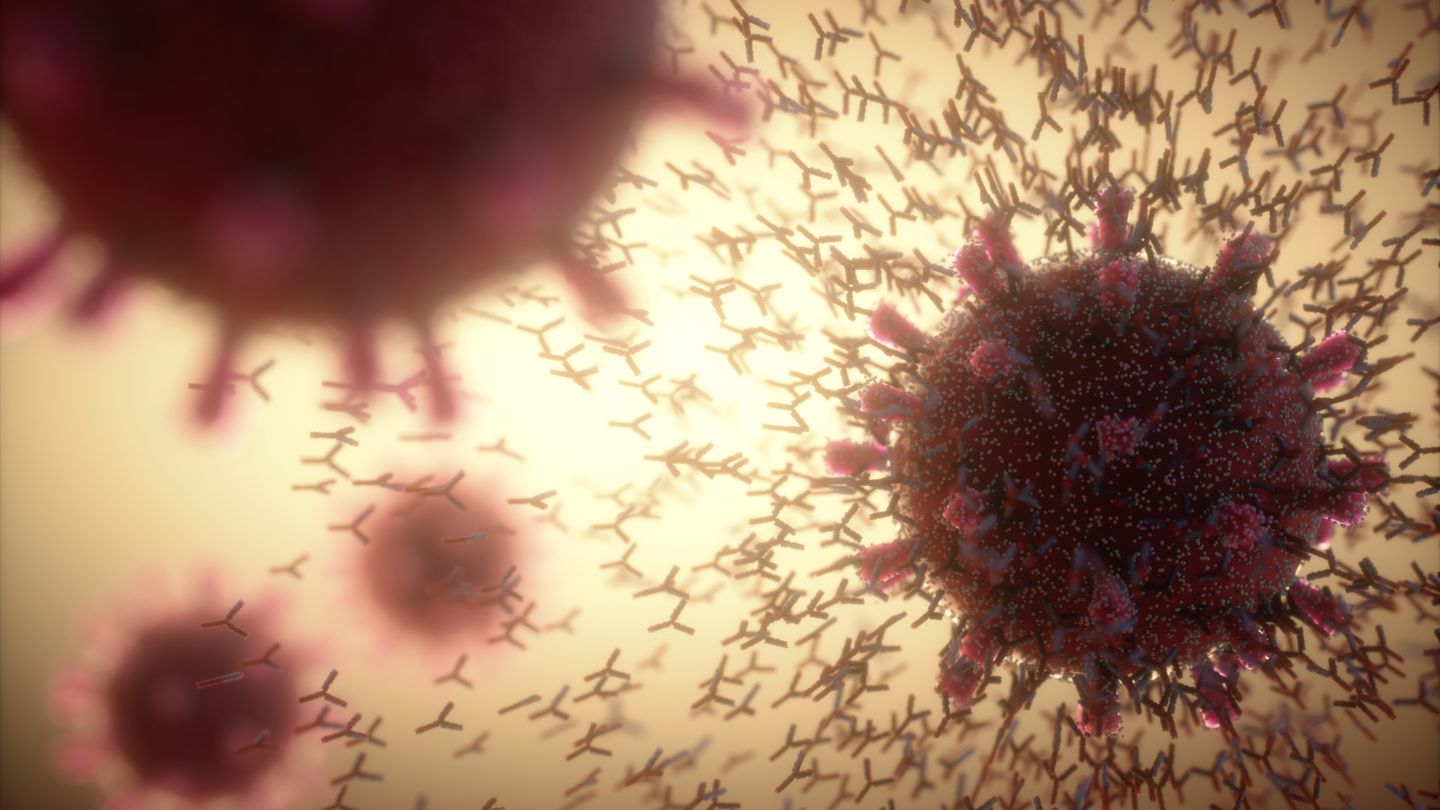 'More Neanderthal than human': How your health may depend on DNA from ...