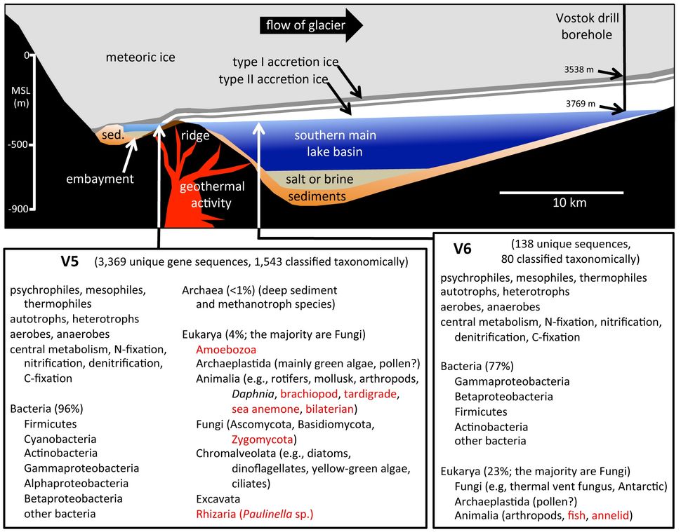 What Is Lake Vostok Live Science What Is Lake Vostok Live Science
