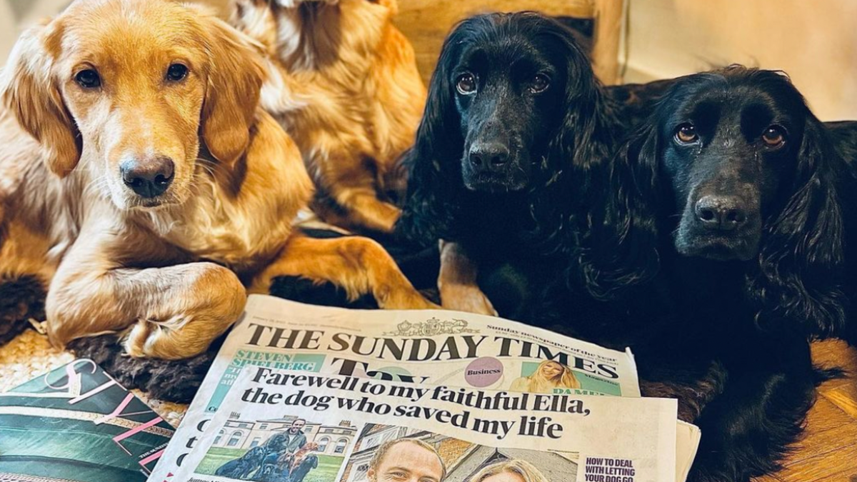 James Middleton on How His Dogs Helped Him Recover From Depression ...