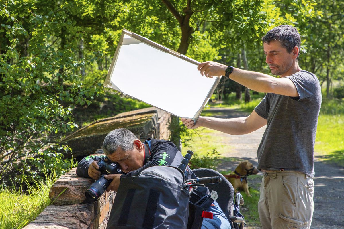 10 pro tips for amazing wildlife and macro shots | Digital Camera World