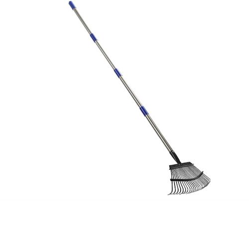 How to get rid of moss in lawns: 6 simple ways | Homes and Gardens