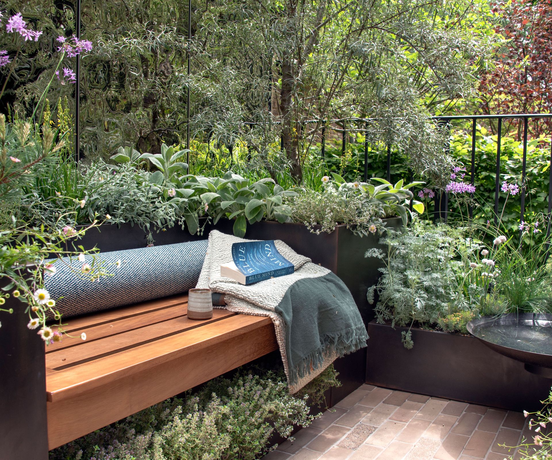 How to grow clove trees in pots: for a mosquito-free patio | Homes and ...