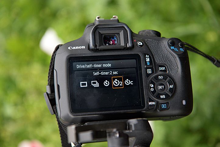 14 tips for fantastic flower photography at home | Digital Camera World