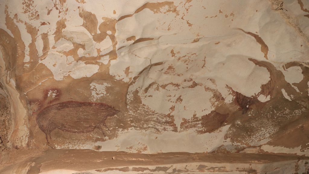Warty pig is oldest animal cave art on record | Live Science