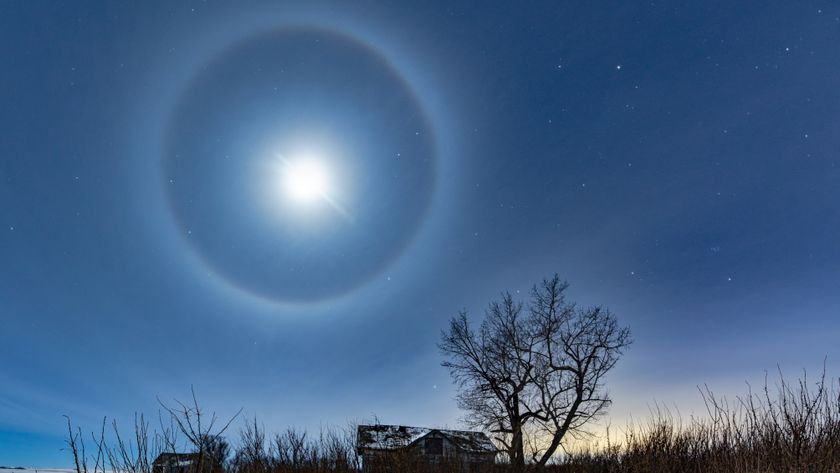 Articles by Ashley Hamer, Live Science Contributor | Live Science