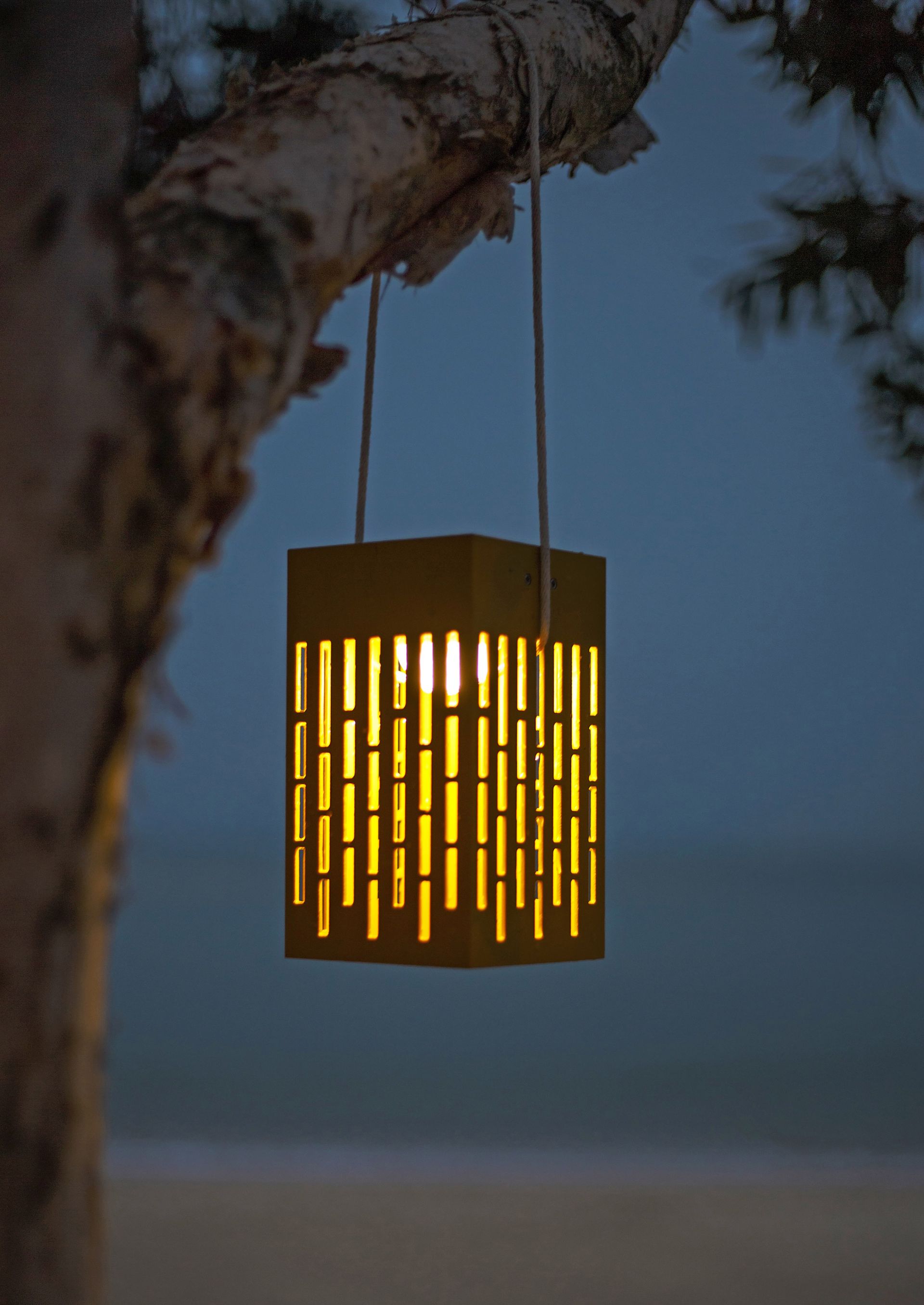 Outdoor tree lighting ideas: 11 ways to create a gorgeously glowing ...