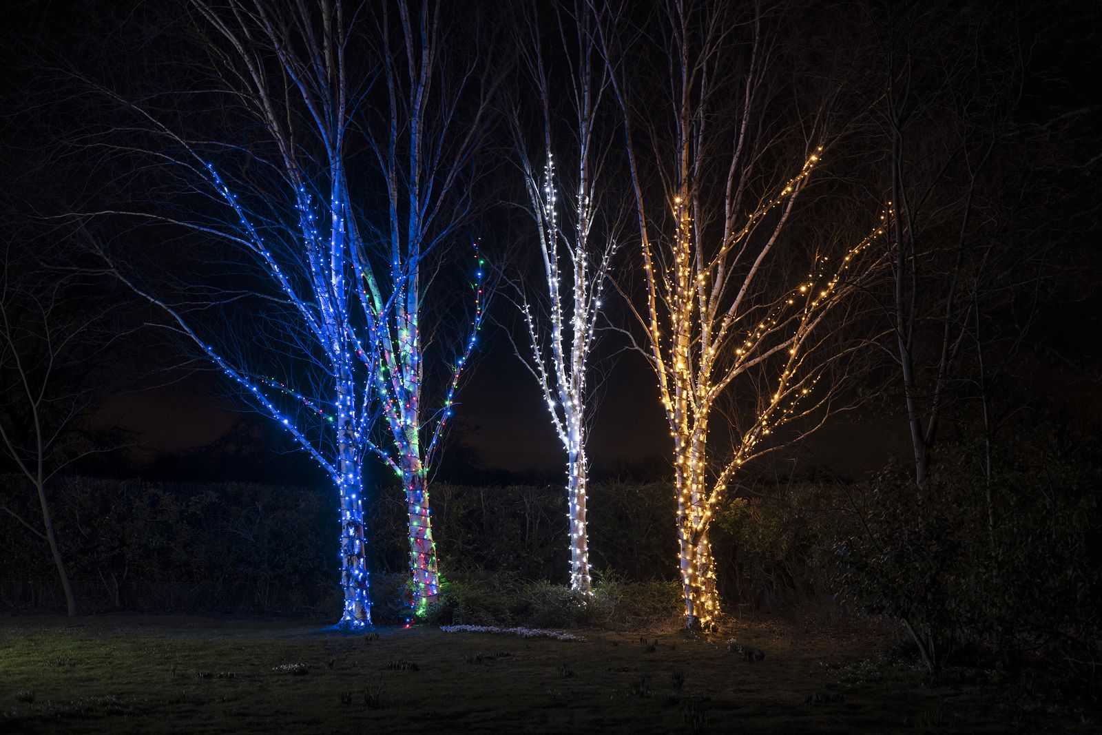 Outdoor Christmas light ideas: 23 enchanting ways to illuminate your ...