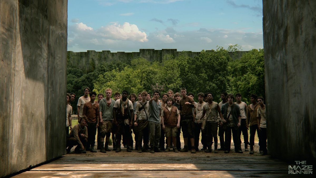 The Maze Runner Movie Still Shows A Group Shot Of The Gladers | Cinemablend