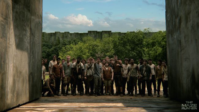 The Maze Runner Movie Still Shows A Group Shot Of The Gladers | Cinemablend