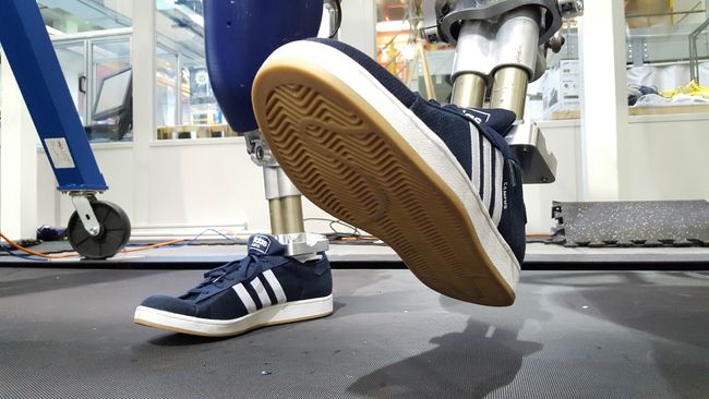Shoe-Wearing Robot's No Flatfoot — It Walks Like a Person | Live Science