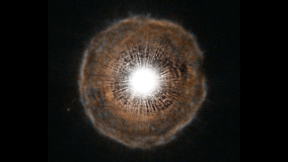 What is the mass of the sun? | Space