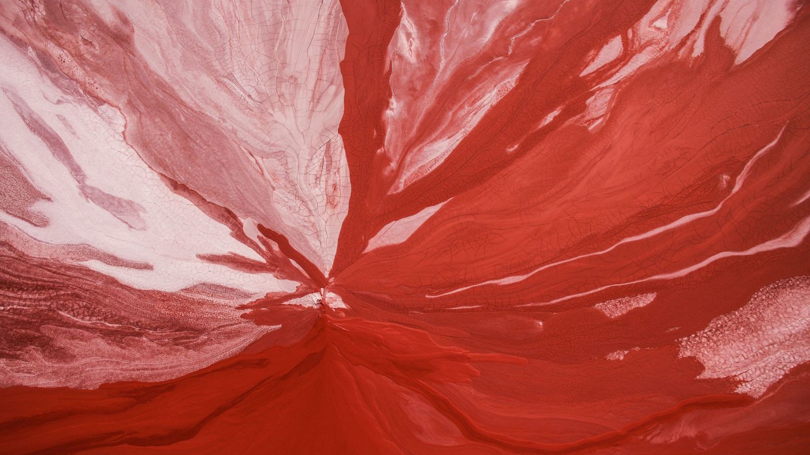 As The USA Bans Red Dye 3: Your Guide To The Controversial Dye | Marie ...