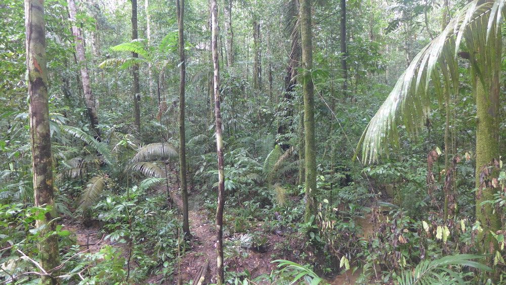 Amazon: Earth's Mightiest River | Live Science