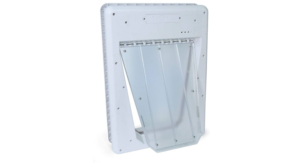 Best microchip cat flap 2022 to give your cat more freedom | PetsRadar