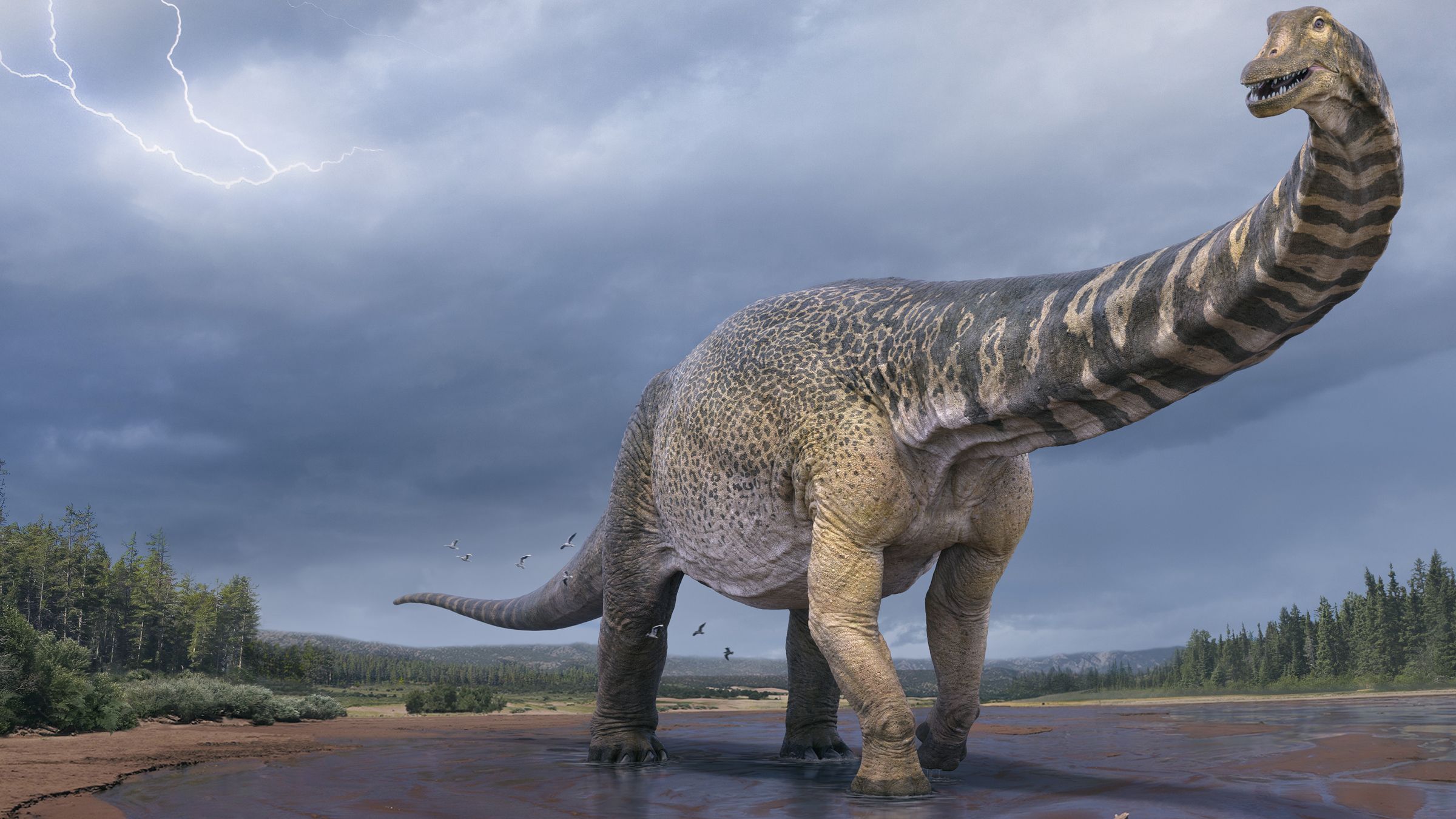 Record-breaking Aussie dinosaur was as long as a basketball court ...