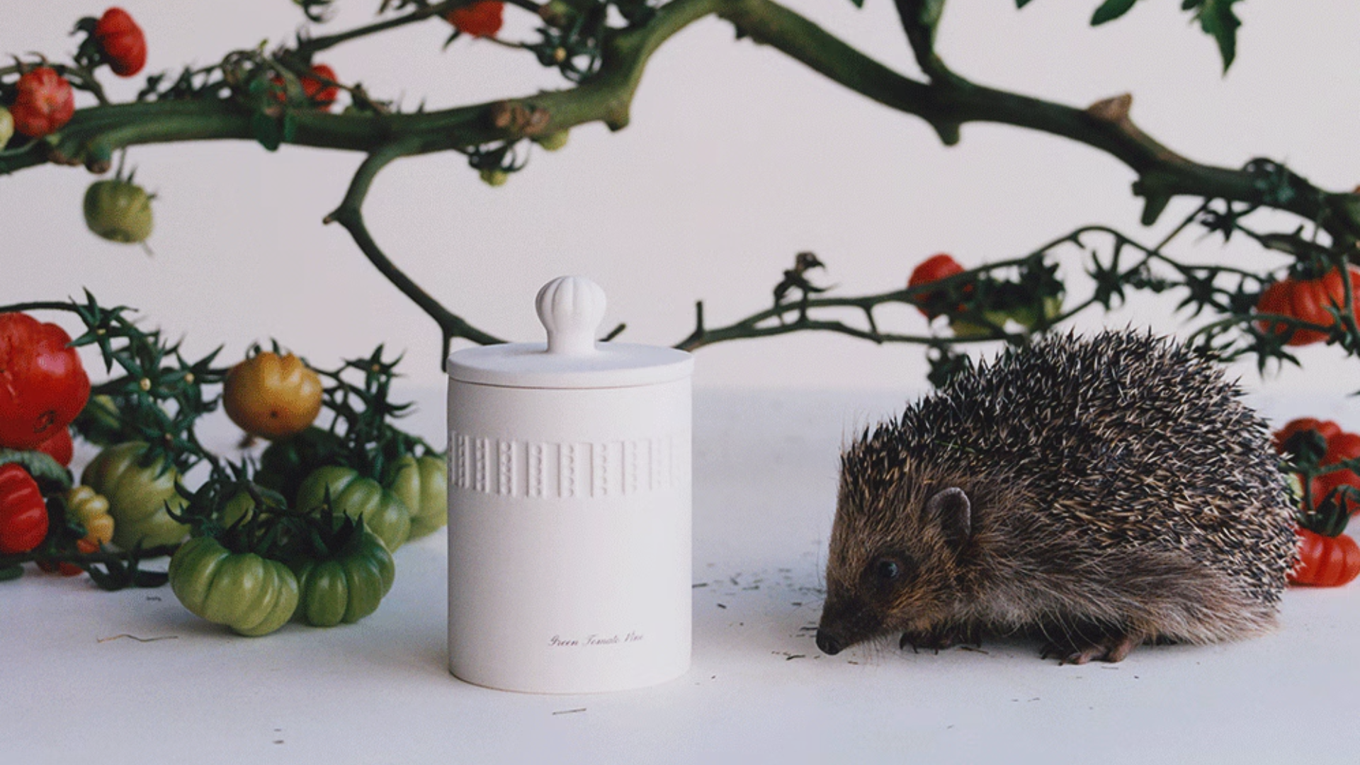 The best tomato scented candles of 2025, reviewed | Wallpaper*