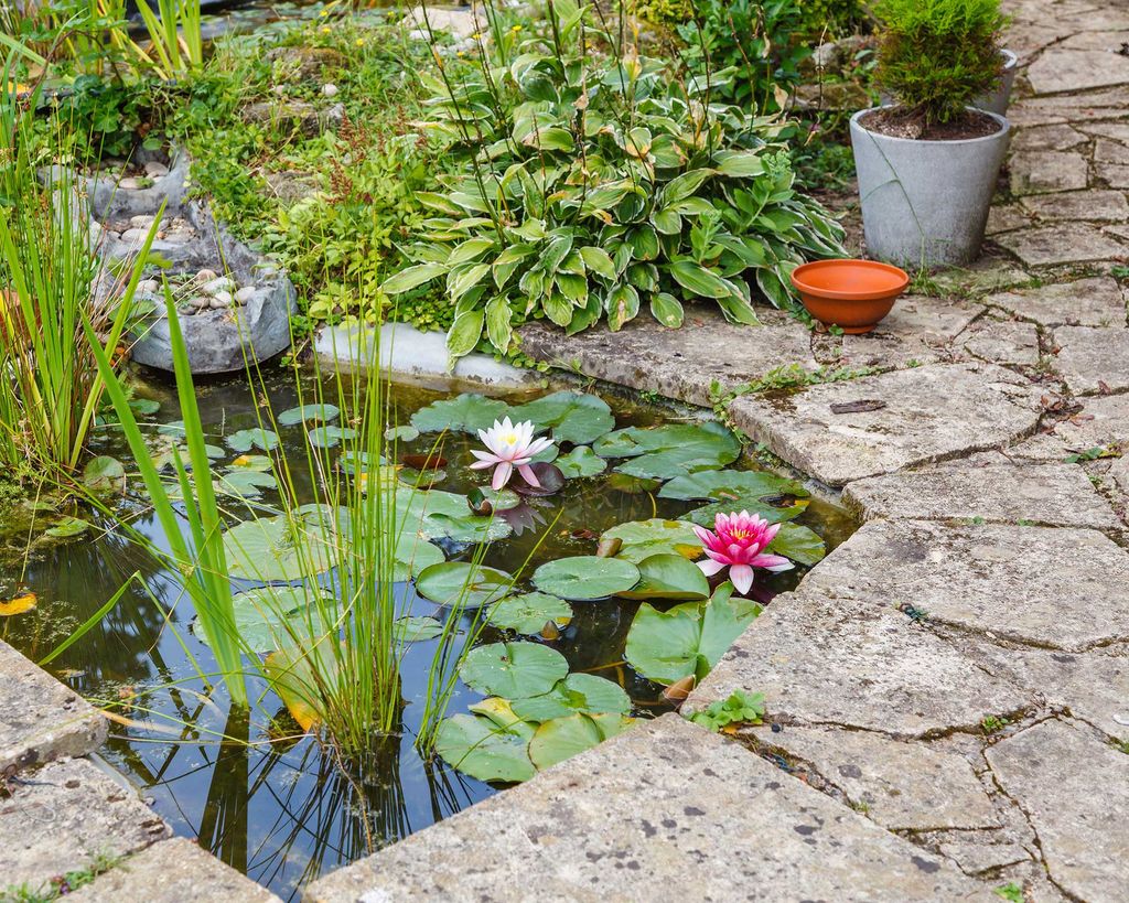Concrete paving ideas: 12 sturdy and stylish designs | Gardeningetc
