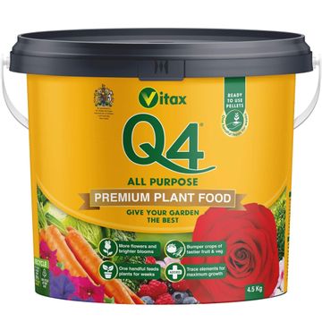 Should you fertilise roses? Your expert guide to rose feed | Ideal Home