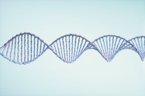 How accurate are DNA tests? | Live Science