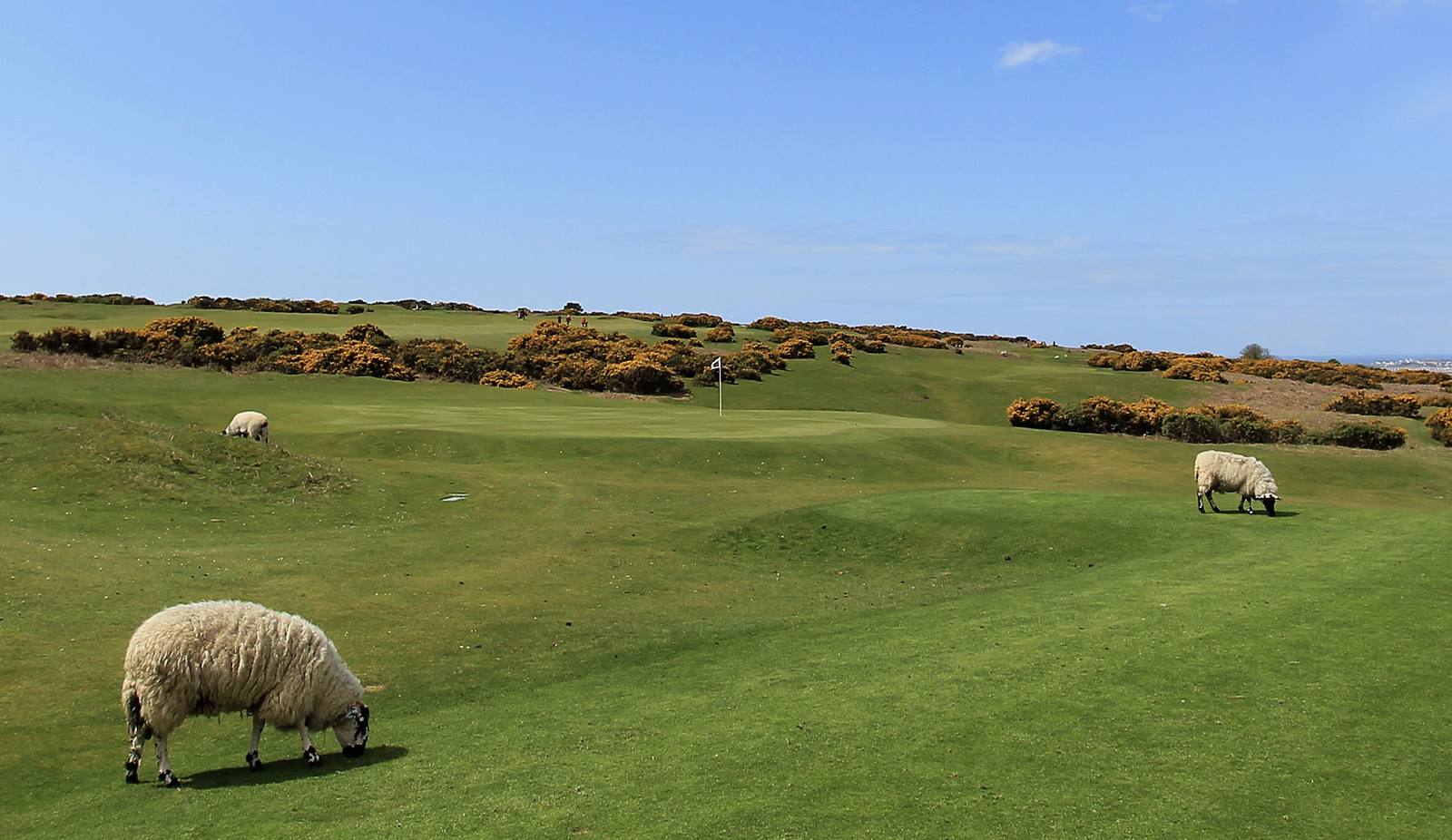 Best Golf Courses In Wales - 12 Welsh Courses You Must Play | Golf Monthly