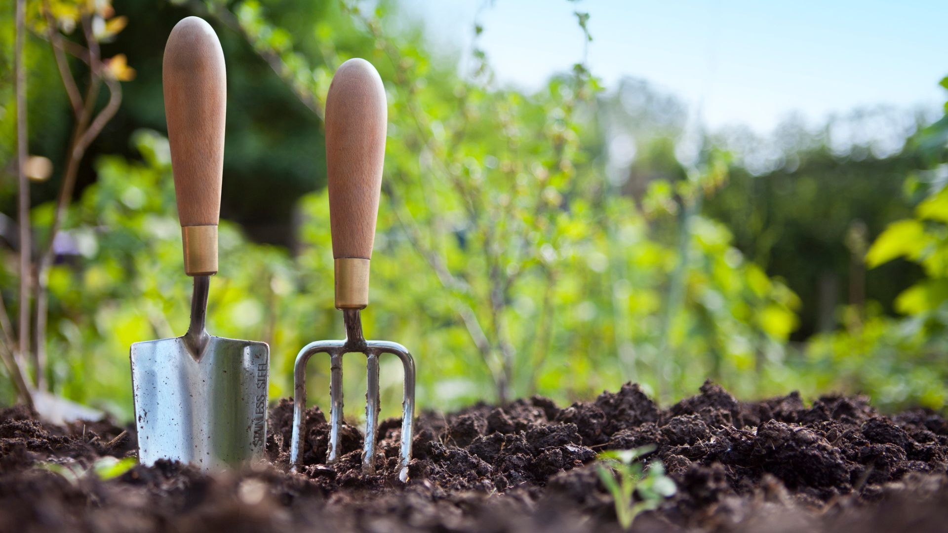 Soil For Growing Vegetables: Soil Preparation For Your Vegetable Garden ...