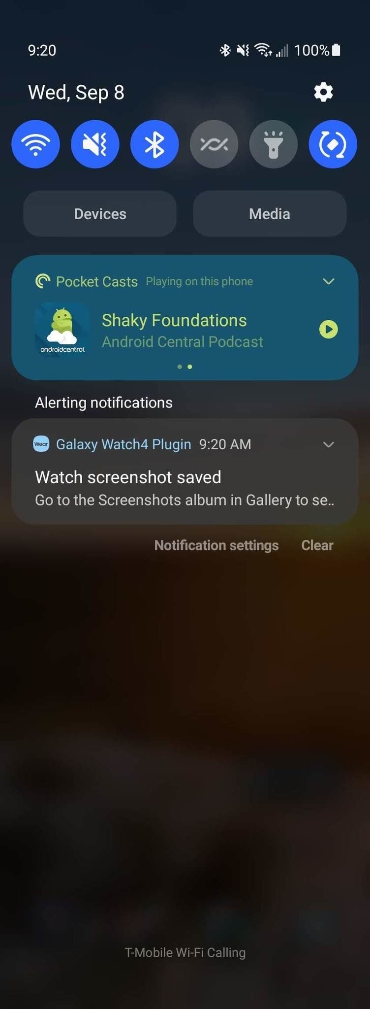 How to take a screenshot on the Samsung Galaxy Watch 4 | Android Central