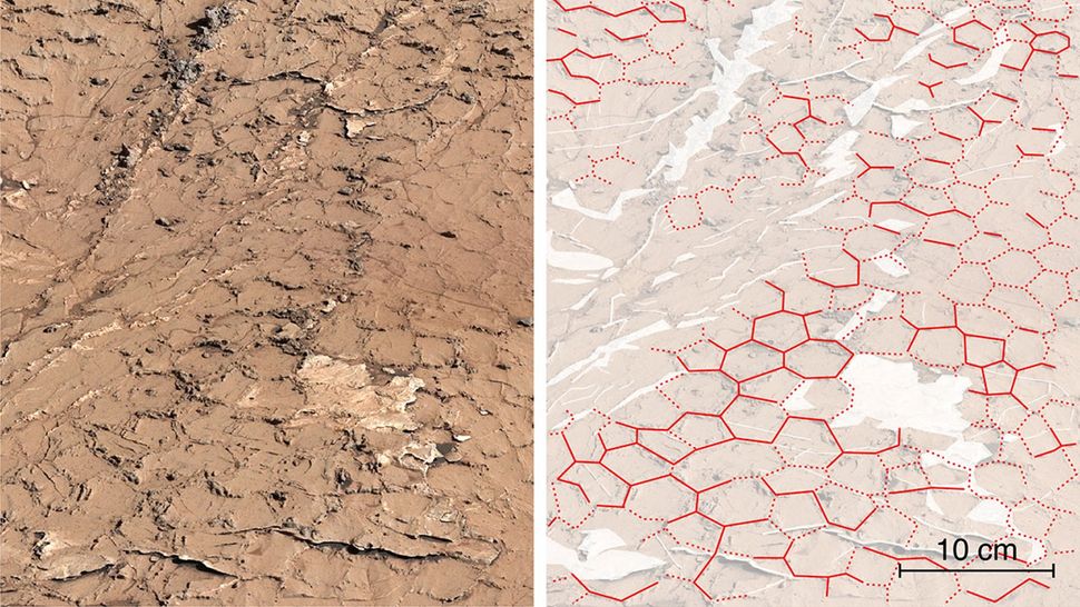 Bizarre polygons on Mars' surface hint that alien life on Red Planet ...