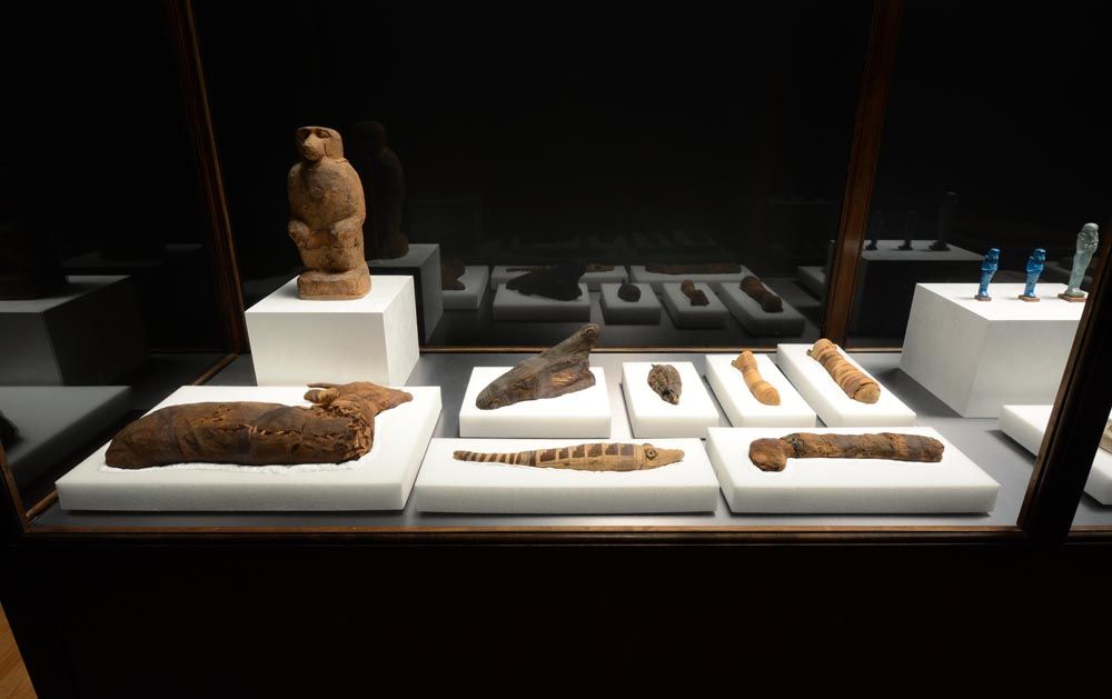 Photos: The Amazing Mummies of Peru and Egypt: Page 2 | Live Science