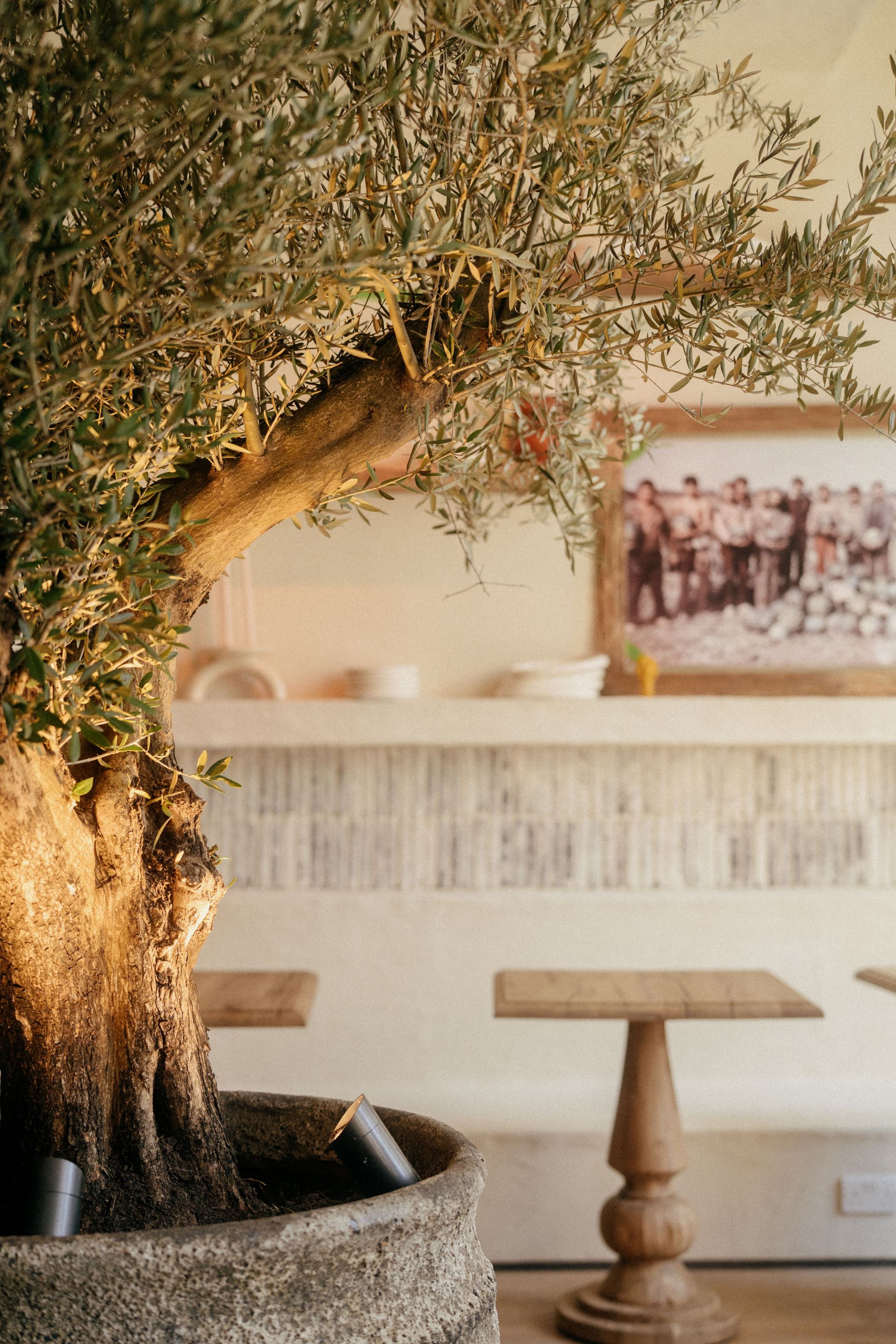 London Ukrainian restaurant Tatar Bunar review | Wallpaper*