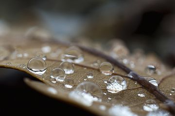 From mizzle to drizzle and dreich to dibble: 17 fascinating British ...