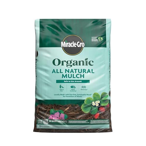 How to grow flowering cherry trees in pots: for spring blooms | Homes ...