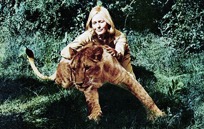 15 fascinating things about animal actors, from dogs and cockroaches to ...